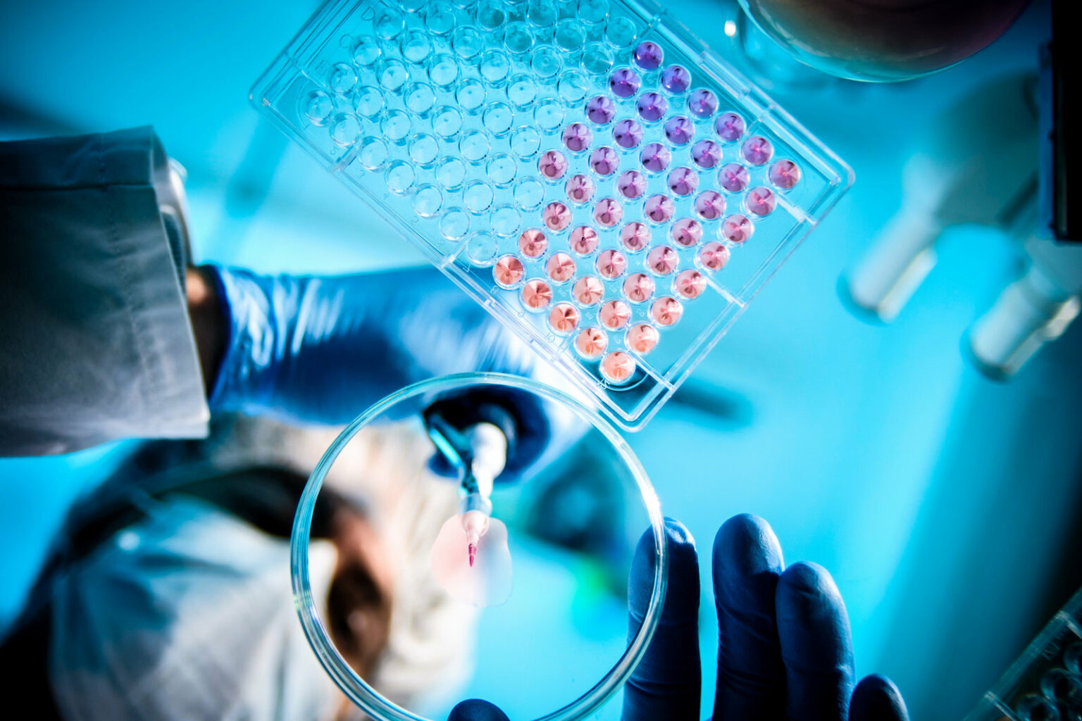 LifePlus Biomedical Services